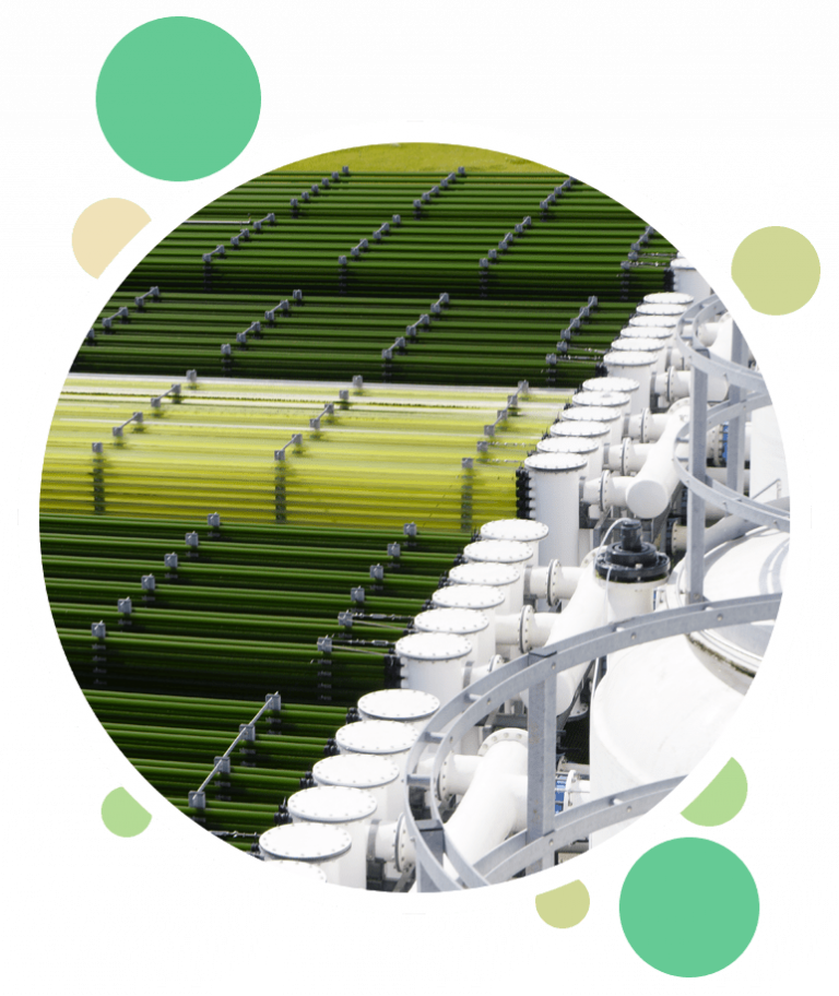 Cultivating Sustainable Microalgae Solutions – Allmicralgae