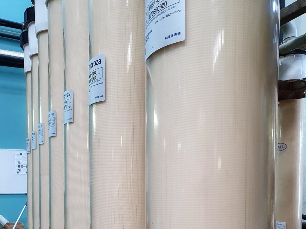 Our Industrial Microalgae Species Production Process - Allmicroalgae