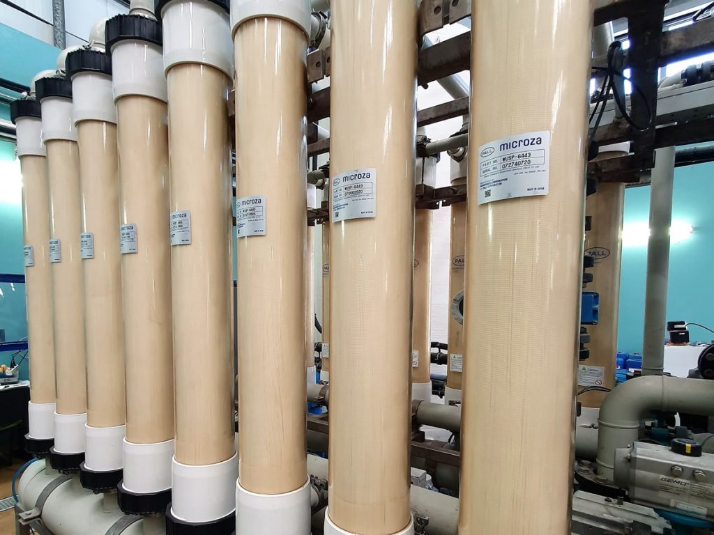Our Industrial Microalgae Species Production Process - Allmicroalgae