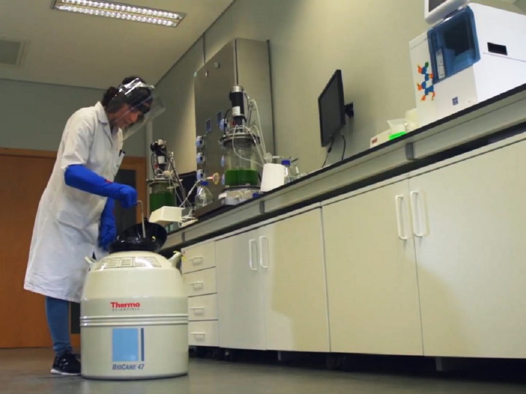 Our Industrial Microalgae Species Production Process - Allmicroalgae