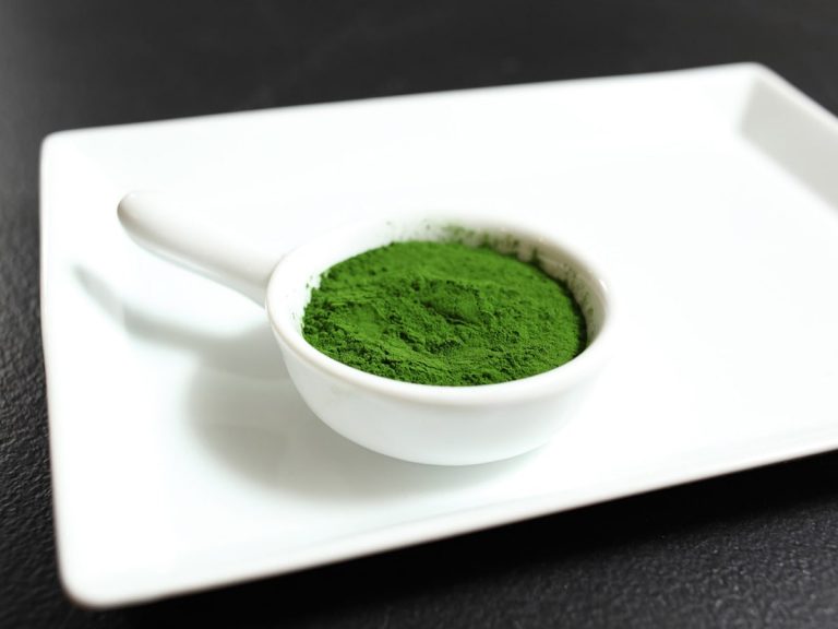 Our Industrial Microalgae Species Production Process - Allmicroalgae