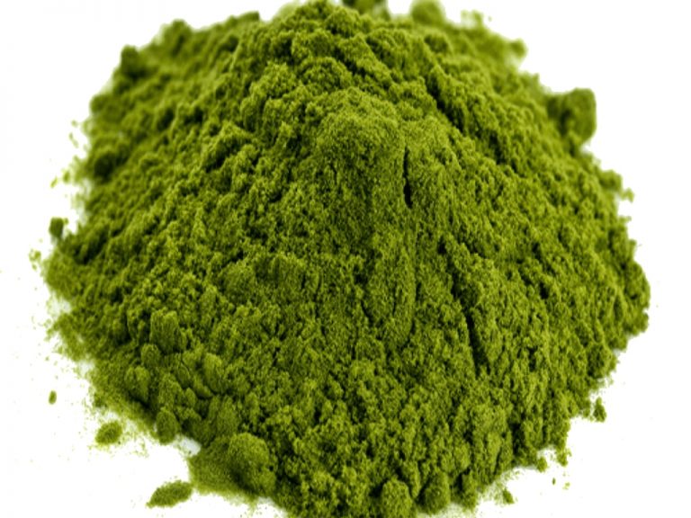 Our Industrial Microalgae Species Production Process - Allmicroalgae