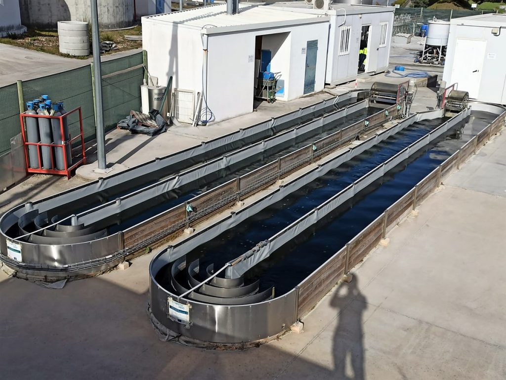 Our Industrial Spirulina Species Production Process - Allmicroalgae