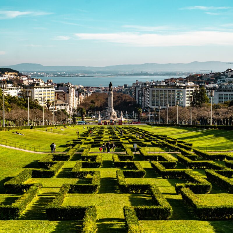 Cultivating Sustainable Microalgae Solutions – Allmicralgae